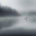 Is Bessie, the Lake Erie Monster Real?