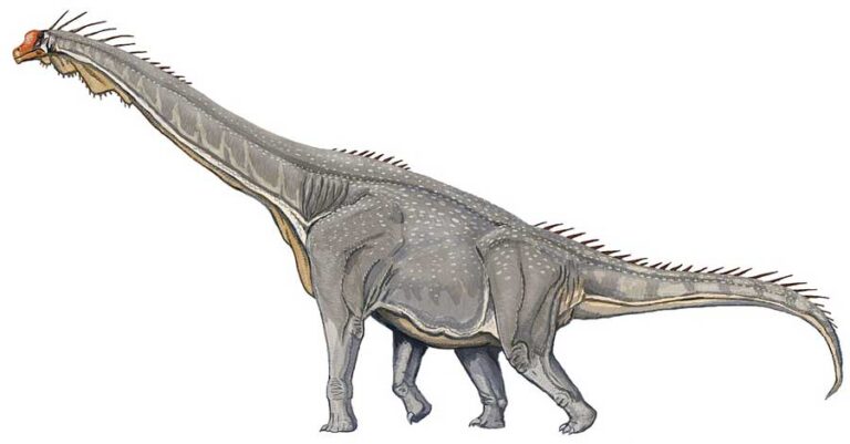 Mokele-Mbembe - Real or Legend?