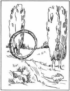 The Hoop Snake - Legend or Real?