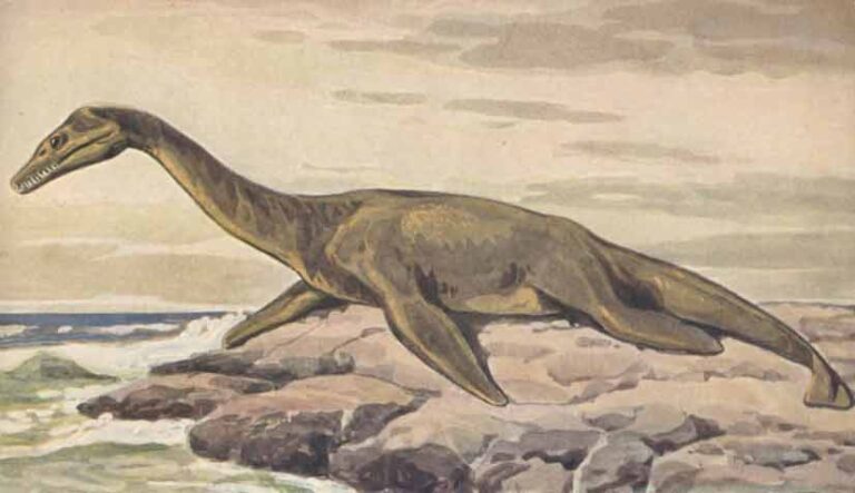 Is Bessie, the Lake Erie Monster Real?
