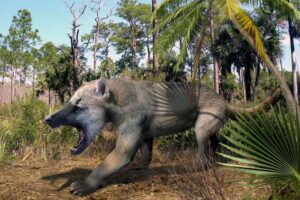 Waheela - Canada's Elusive Wolf-Like Cryptid