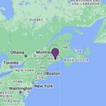 The Tree Squeak - Maine's Elusive Cryptid